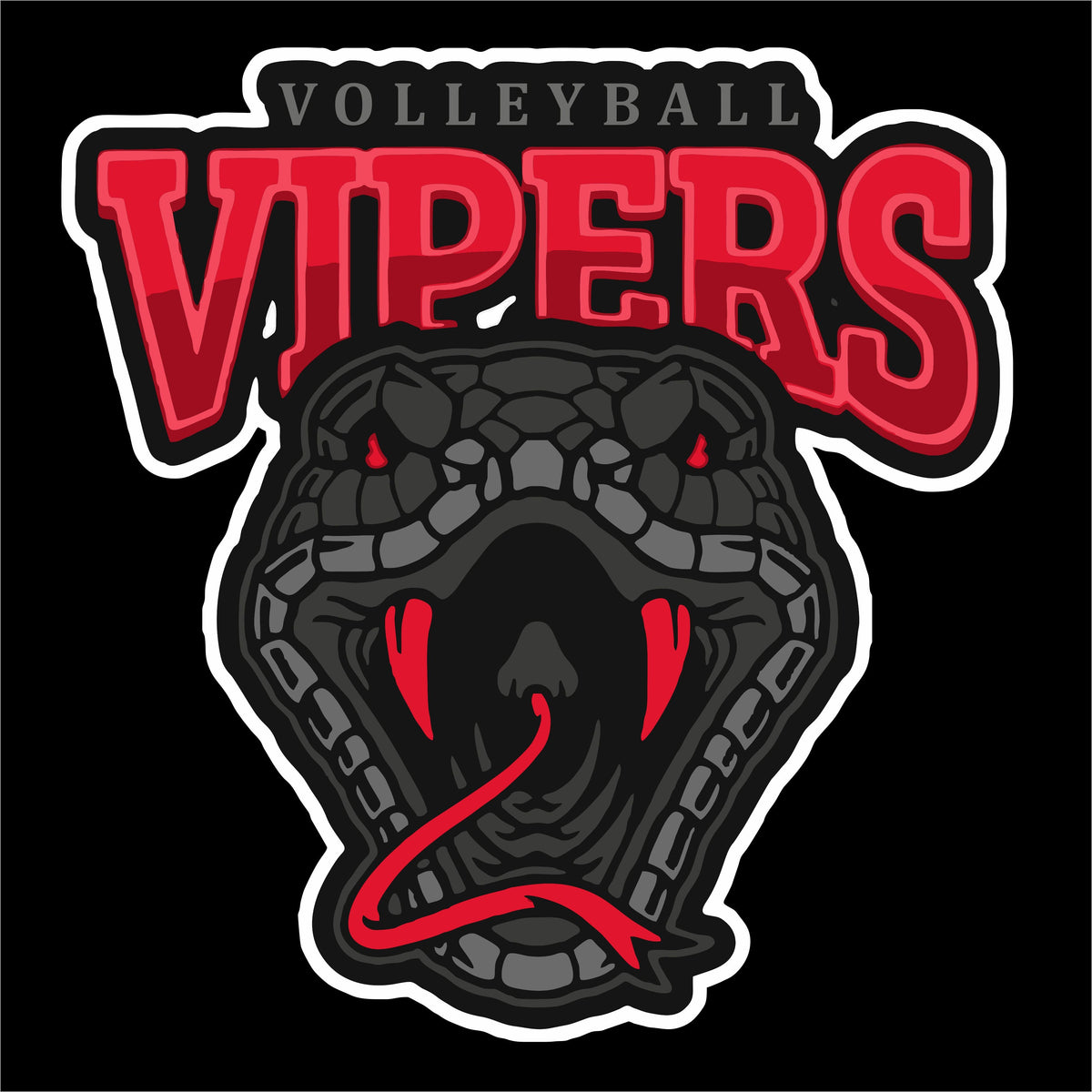 VULCAN VIPERS VOLLEYBALL – Crazy Stitch